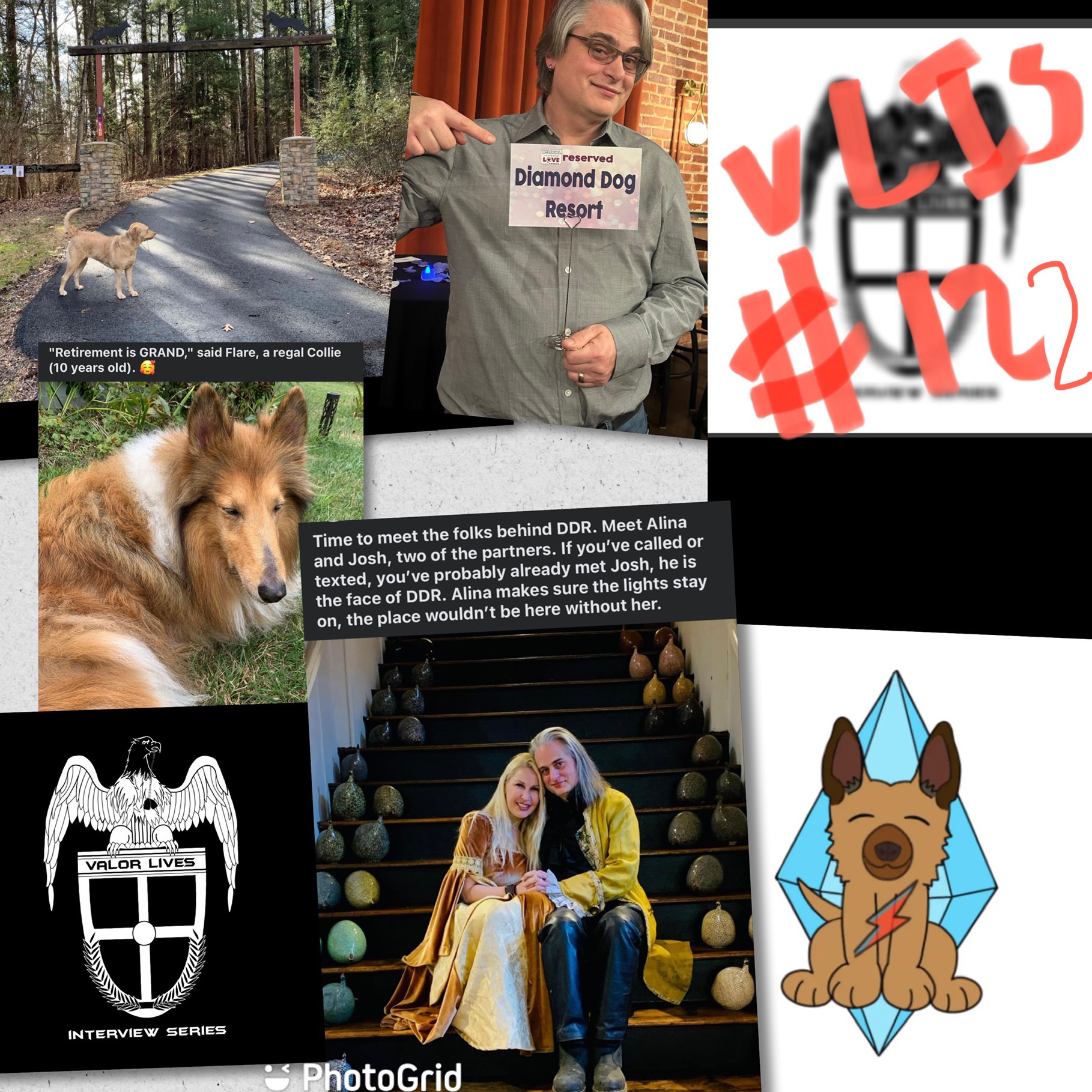 Josh Phipps: Visionary Entrepreneur Bridging Pet Care and Health IT ...